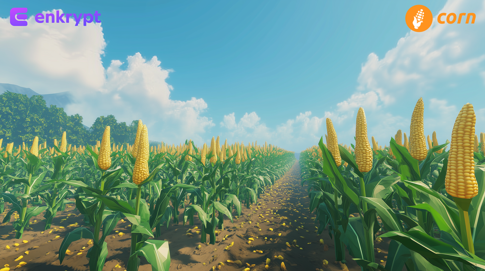 Enkrypt: Web3 Guides for Ethereum and Polkadot