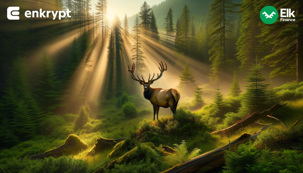 Enkrypt: Web3 Guides for Ethereum and Polkadot