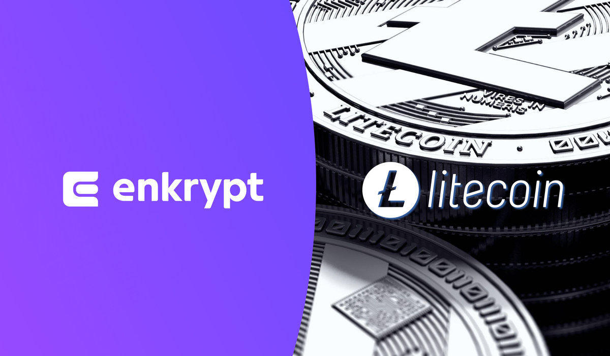 Interacting with Litecoin using Enkrypt